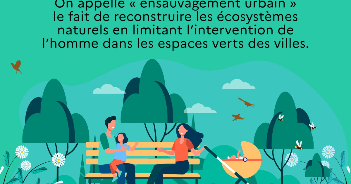 Laisser la nature s’exprimer, une approche bénéfique pour les villes et les citadins - notre ...